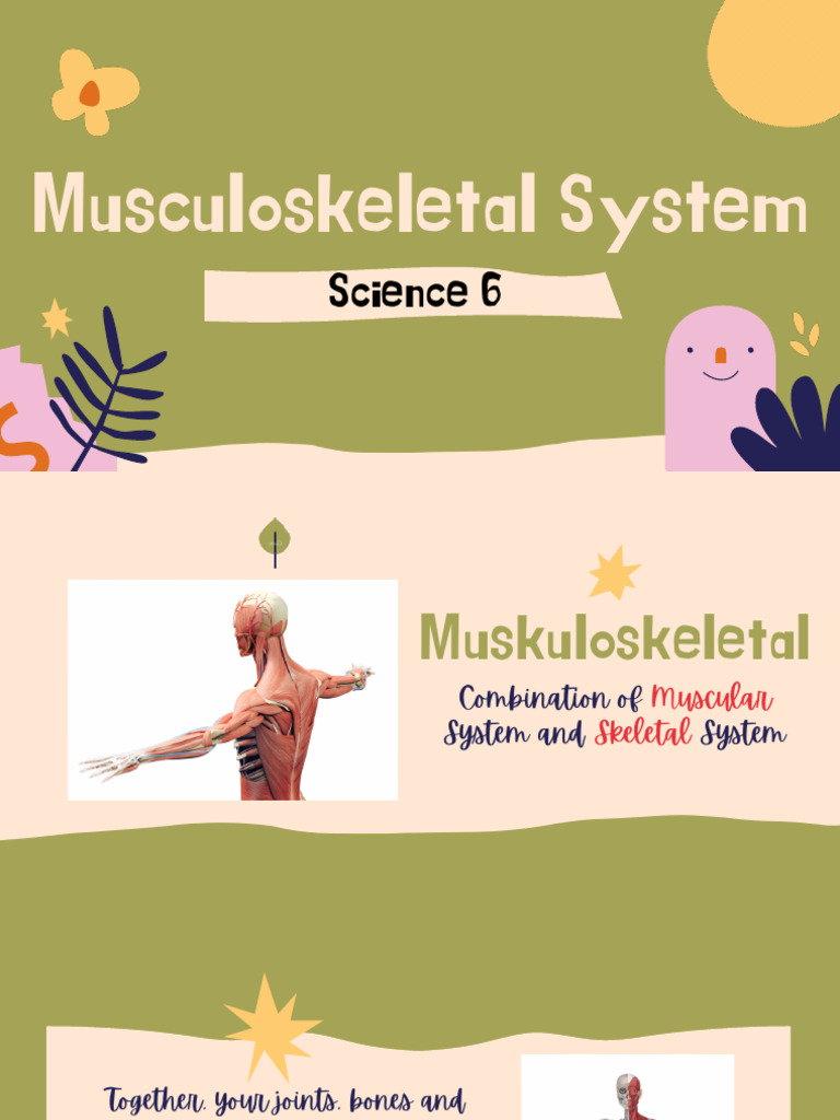 LESSON 4 Musculoskeletal System | PDF | Human Musculoskeletal System ...