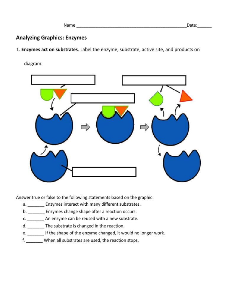 Enzyme Function and Inhibition Analysis | PDF | Enzyme Inhibitor | Enzyme