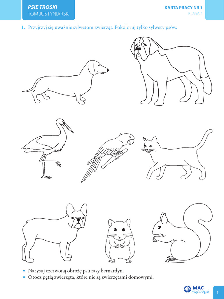 Psie Troski Klasa 2 Karty Pracy | PDF