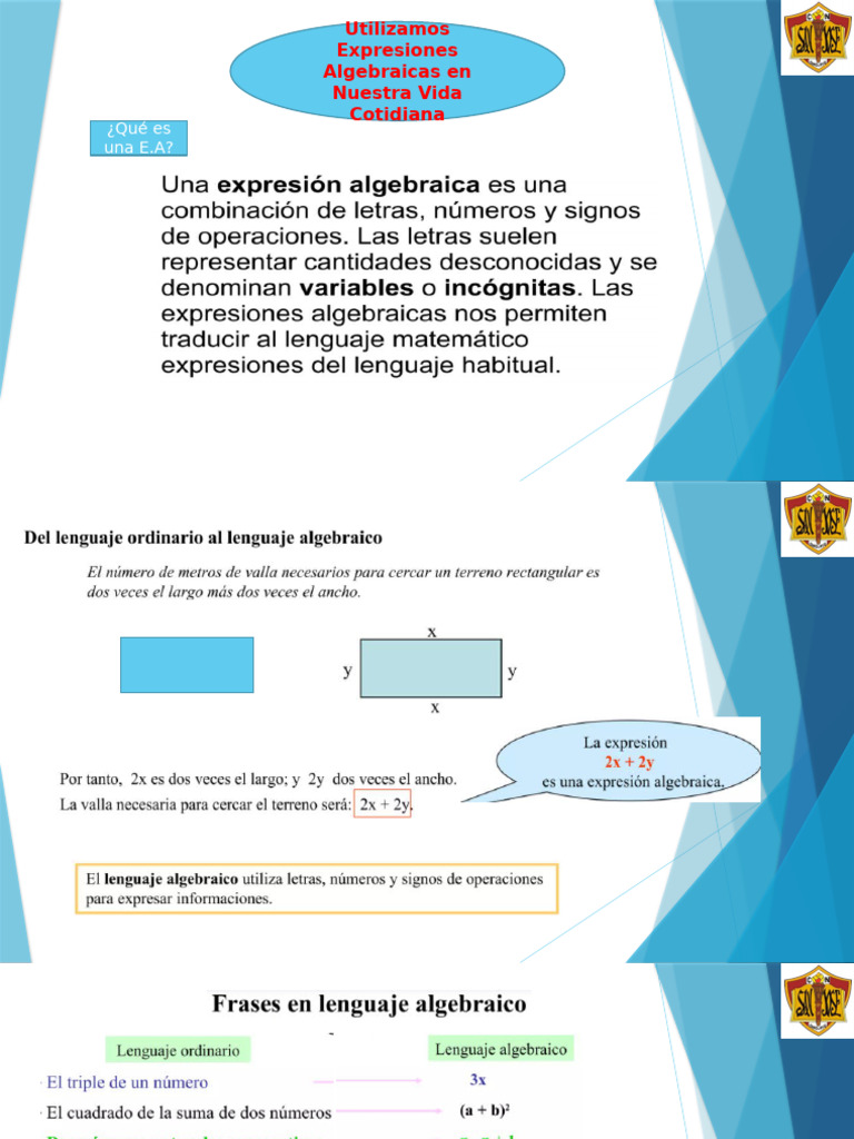 Expresiones Algebraicas Diarias | PDF