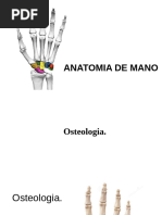 Anatomía de las Falanges de la Mano | PDF | Mano | Articulación