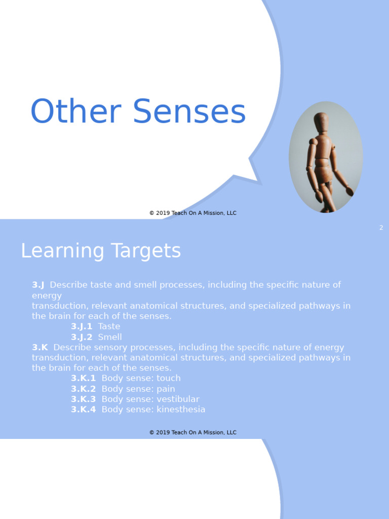 Other Senses Slides | PDF | Taste | Pain