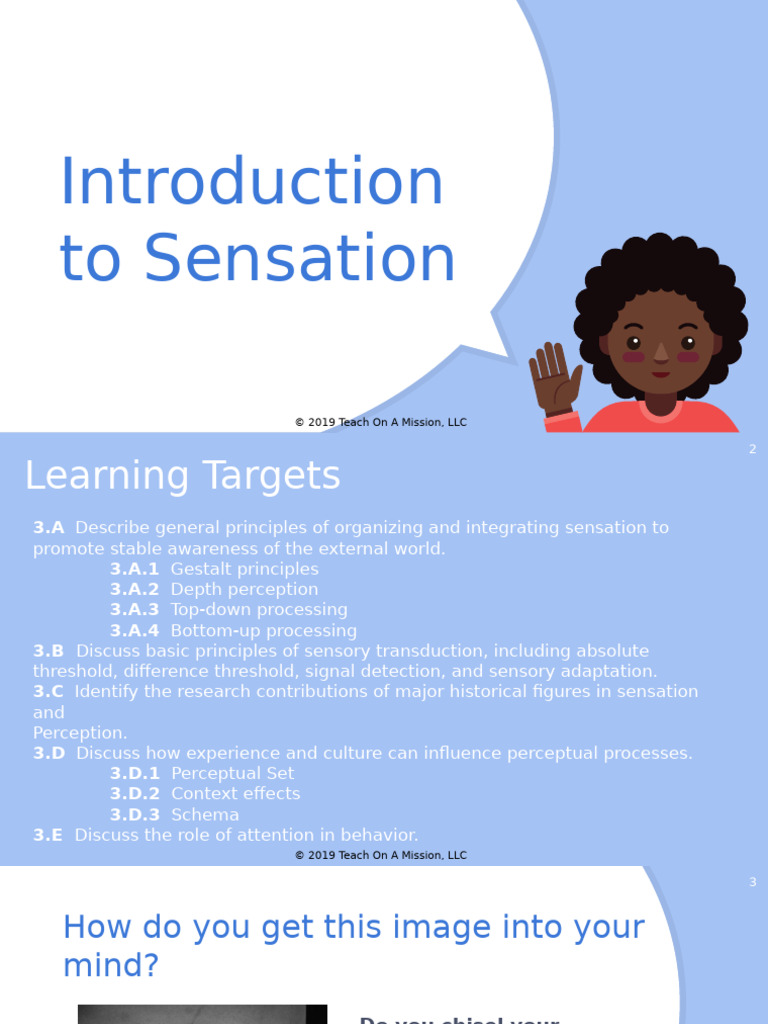 Understanding Sensation and Perception | PDF | Senses | Perception