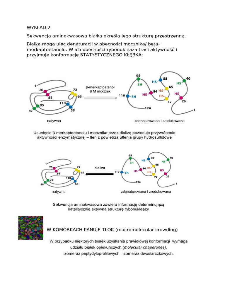 Biochemia Wyk 2-6 | PDF