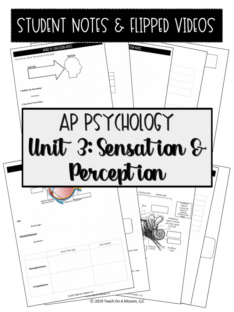 Sensation and Perception Study Notes | PDF | Hearing | Perception