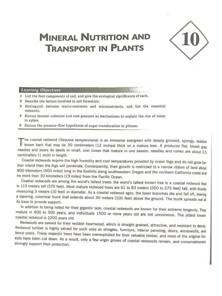 BOTANY CHAPTER 10 (Mineral Nutrition and Transport in Plants) | PDF