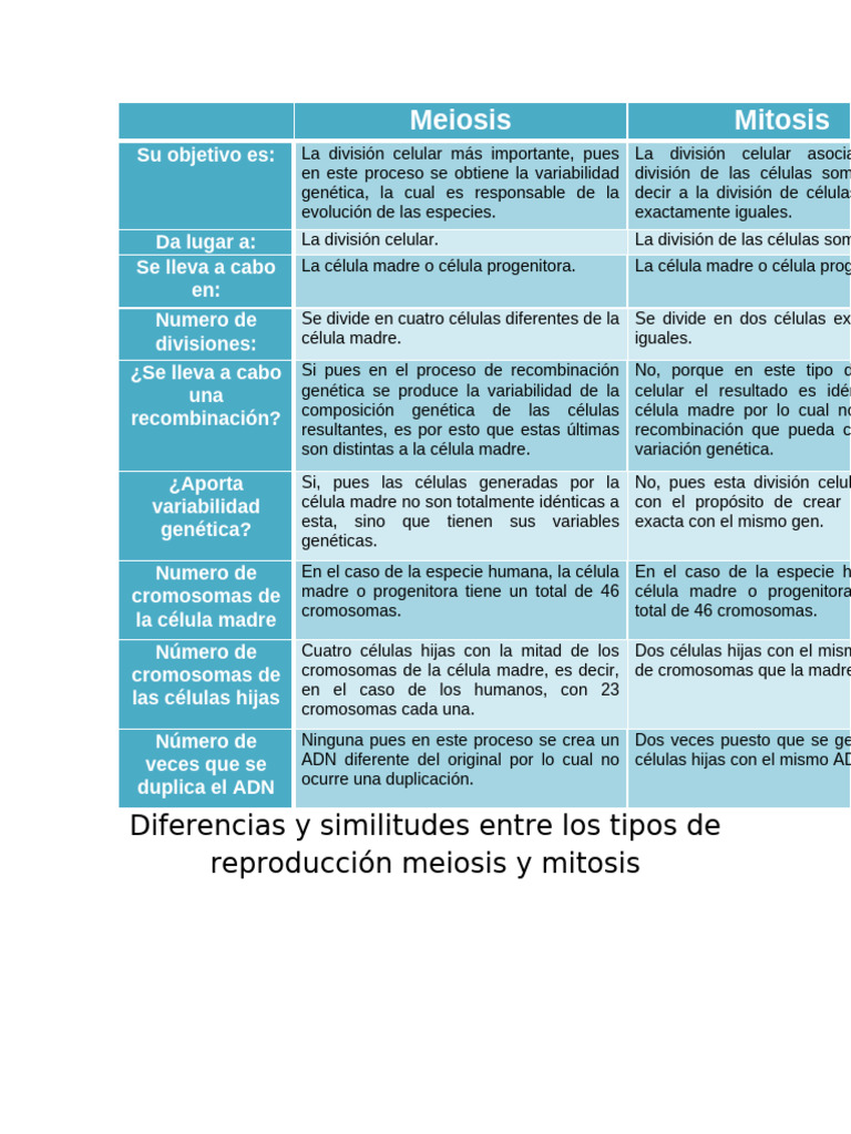 Cuadro Comparativo Mitosis y Meiosis | PDF | Ciencia y matemáticas