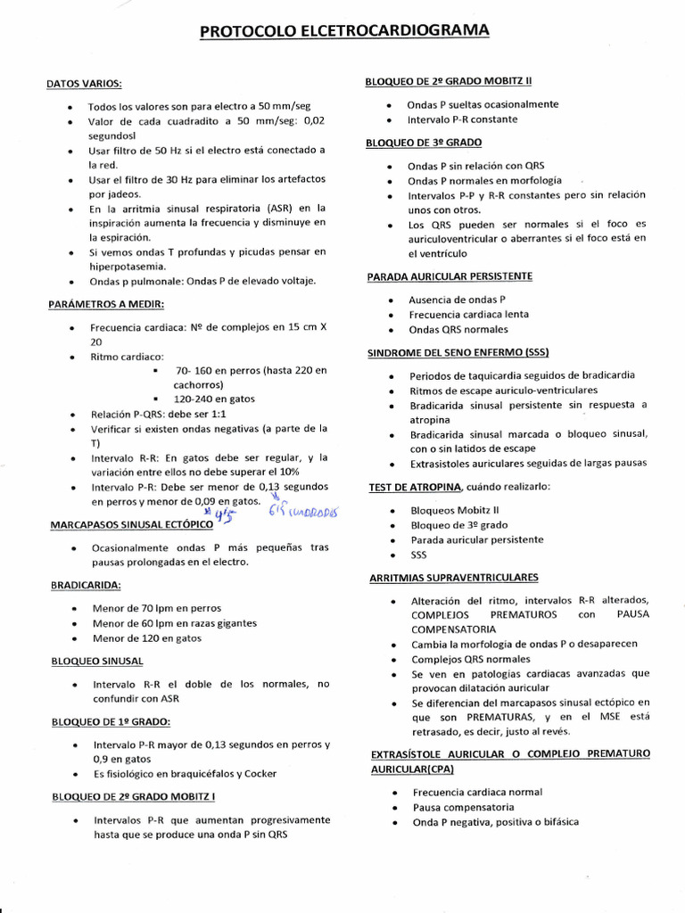 Protocolo Electrocardiograma 1 | PDF | Electrocardiografia | Sistema ...