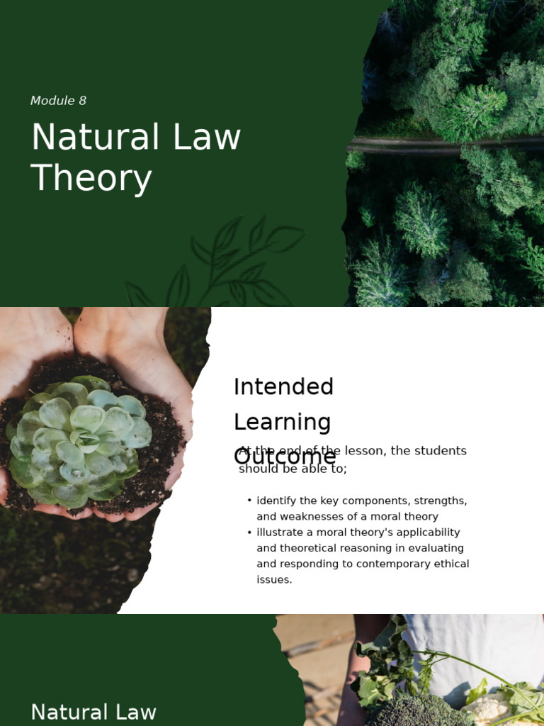 Understanding Natural Law Theory | PDF | Natural Law | Reason