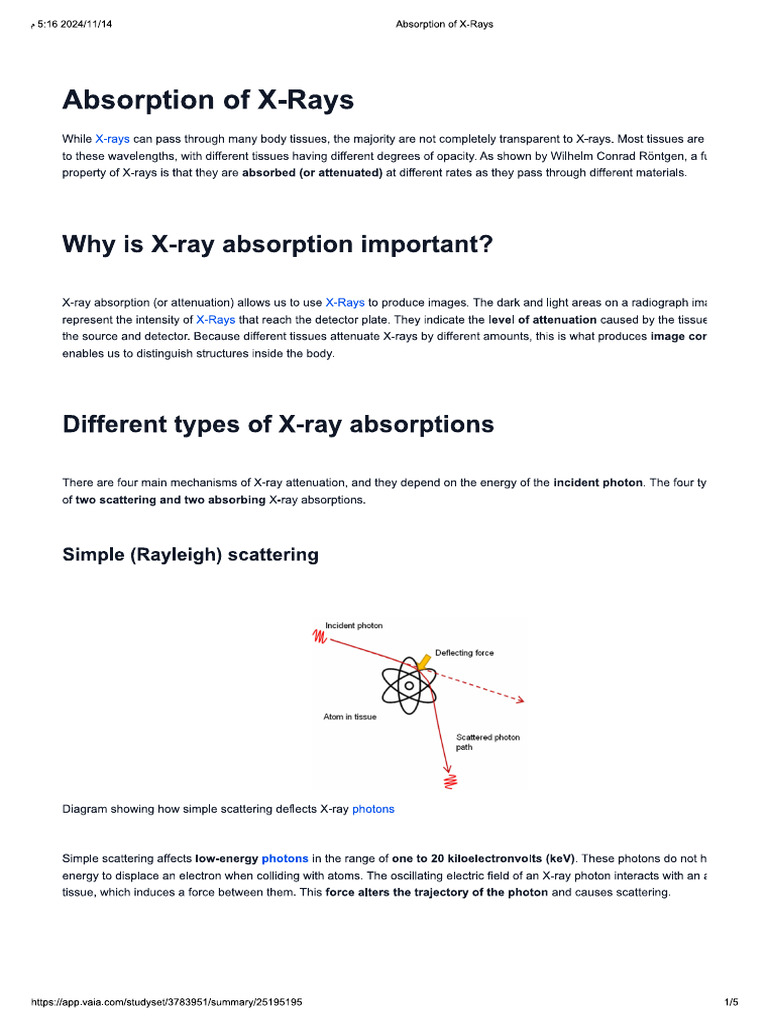 Xray | PDF
