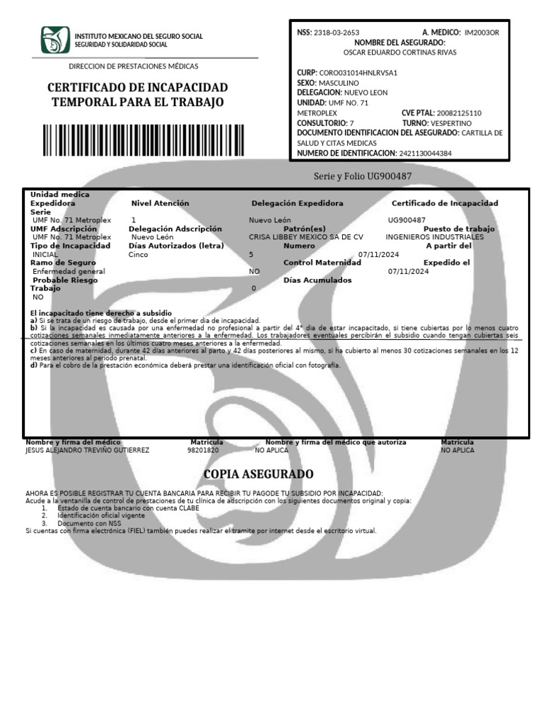 Incapacidad Imss Editable | PDF