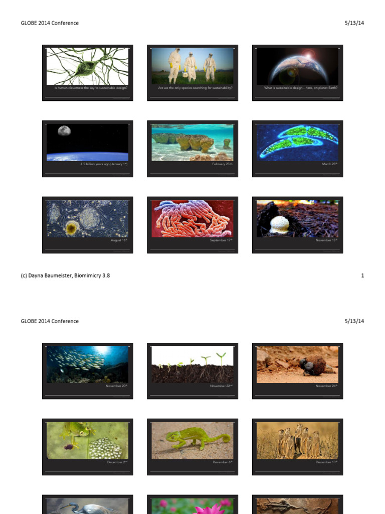 GLOBE - Baumeister Pptx-Shrunk | PDF | Sustainability | Nature