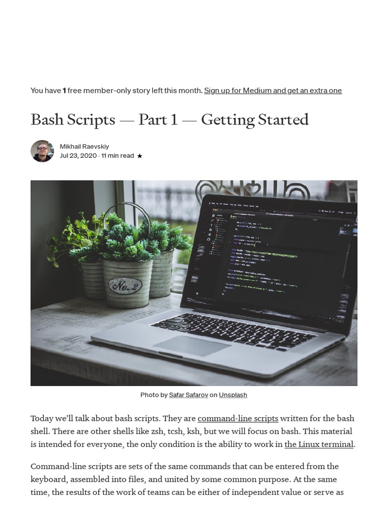 Bash Scripts Part 1 Getting Started By Mikhail Raevskiy Introduction Into Bash Medium