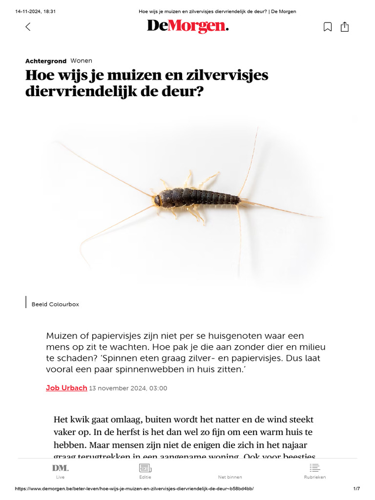 Hoe Wijs Je Muizen en Zilvervisjes Diervriendelijk de Deur - de Morgen ...