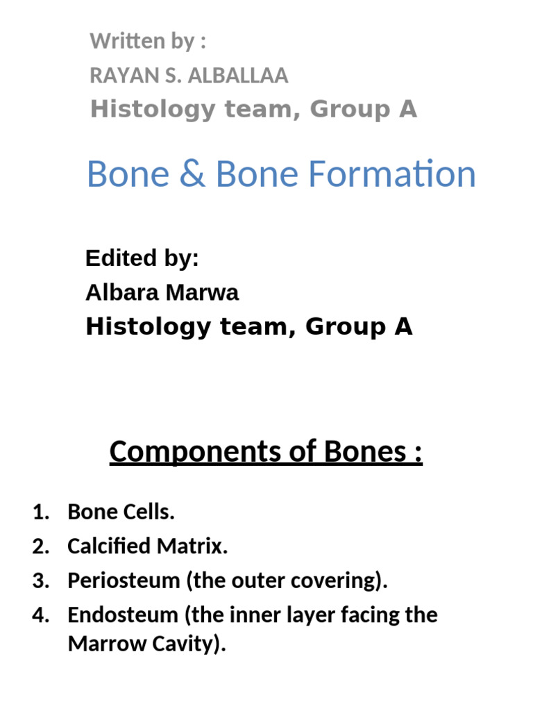 7-Bone & Bone Formation | PDF | Bone | Osteoblast