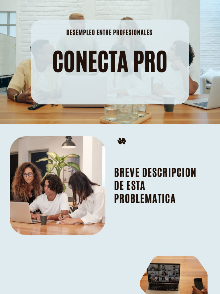 Conecta Pro | PDF | Negocios | Tecnología