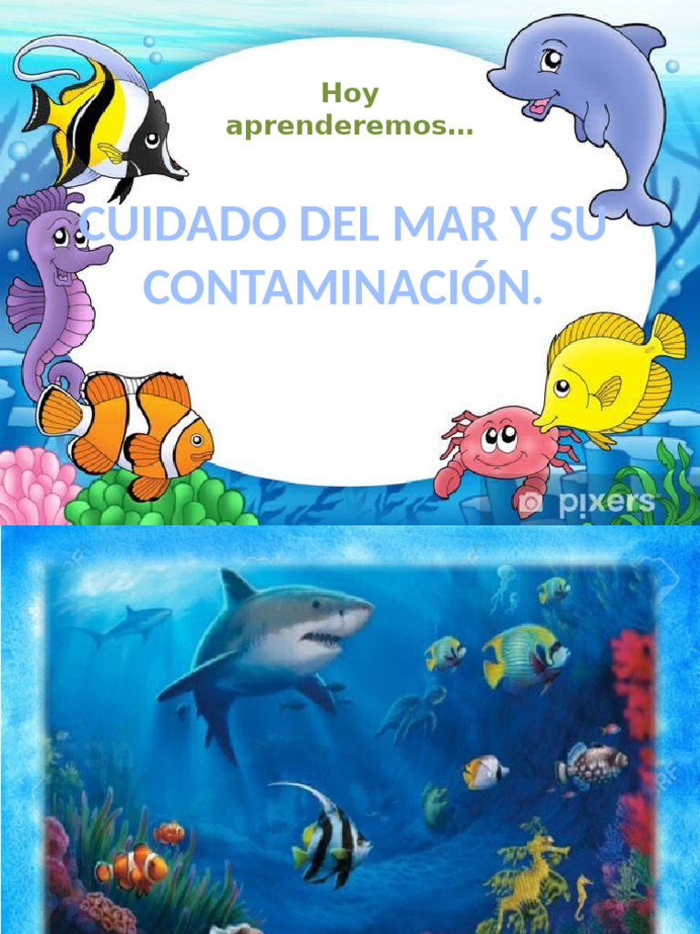 Cuidado Del Mar | PDF