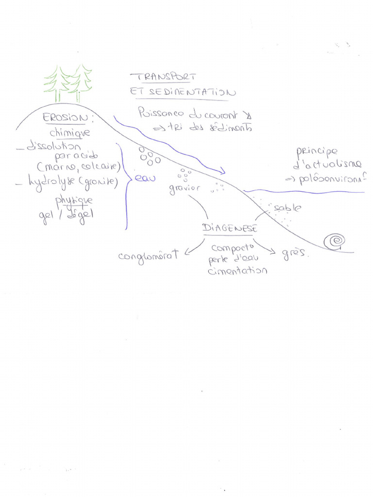 Synthese TP 12 3 Schema PDF | PDF