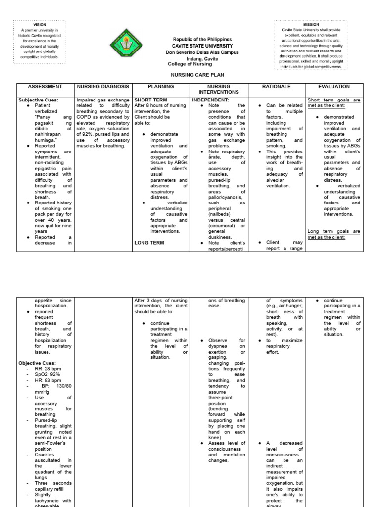 MS NCP Copd | PDF | Chronic Obstructive Pulmonary Disease | Breathing