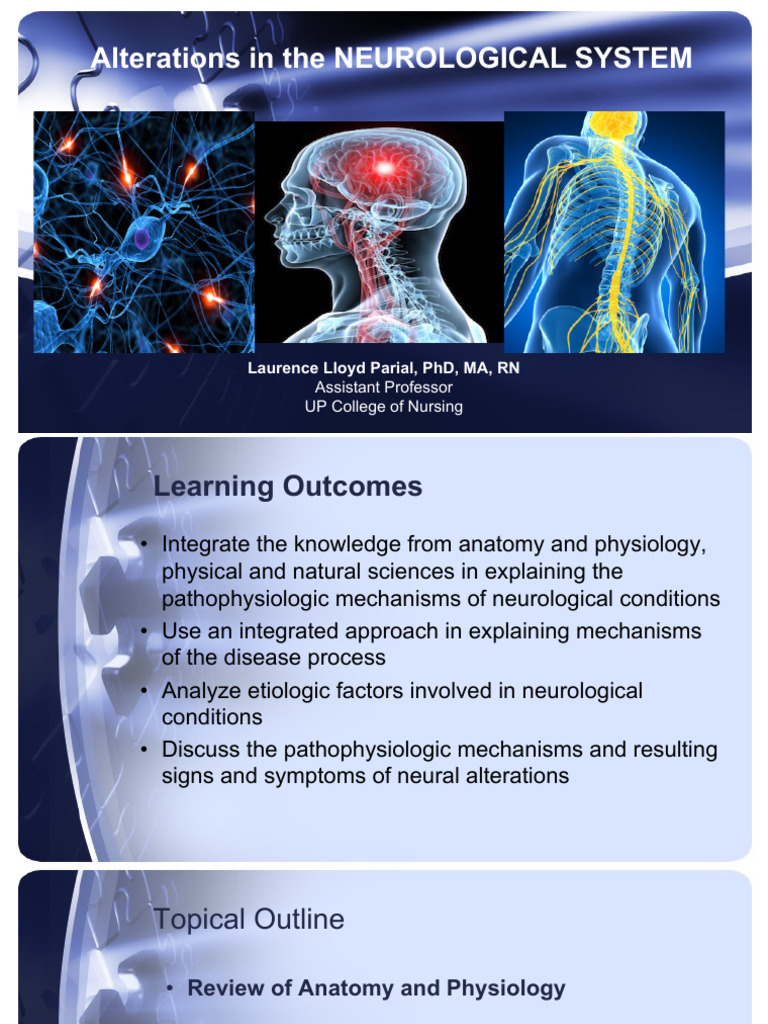 N4 - Neurological Alterations - LLBP | PDF | Stroke | Nervous System