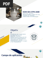 Nom - 001 - STPS - 2008 | PDF