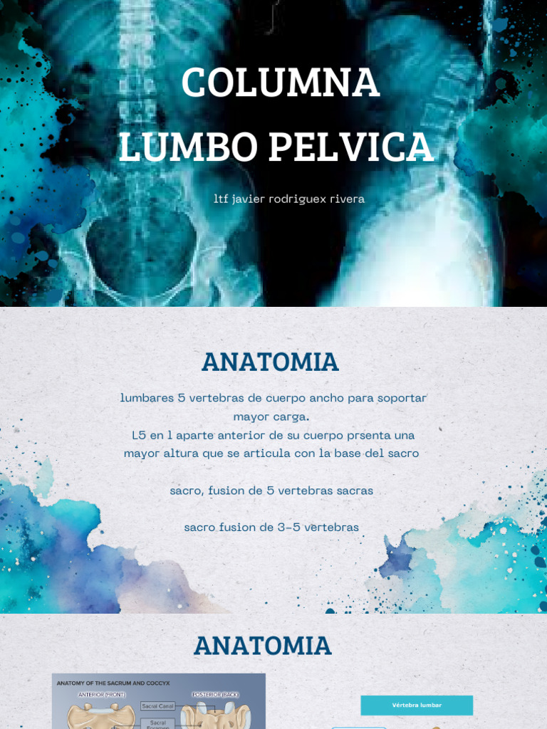 Lumbo Sacro 1 | PDF | Pelvis | Sistema esquelético