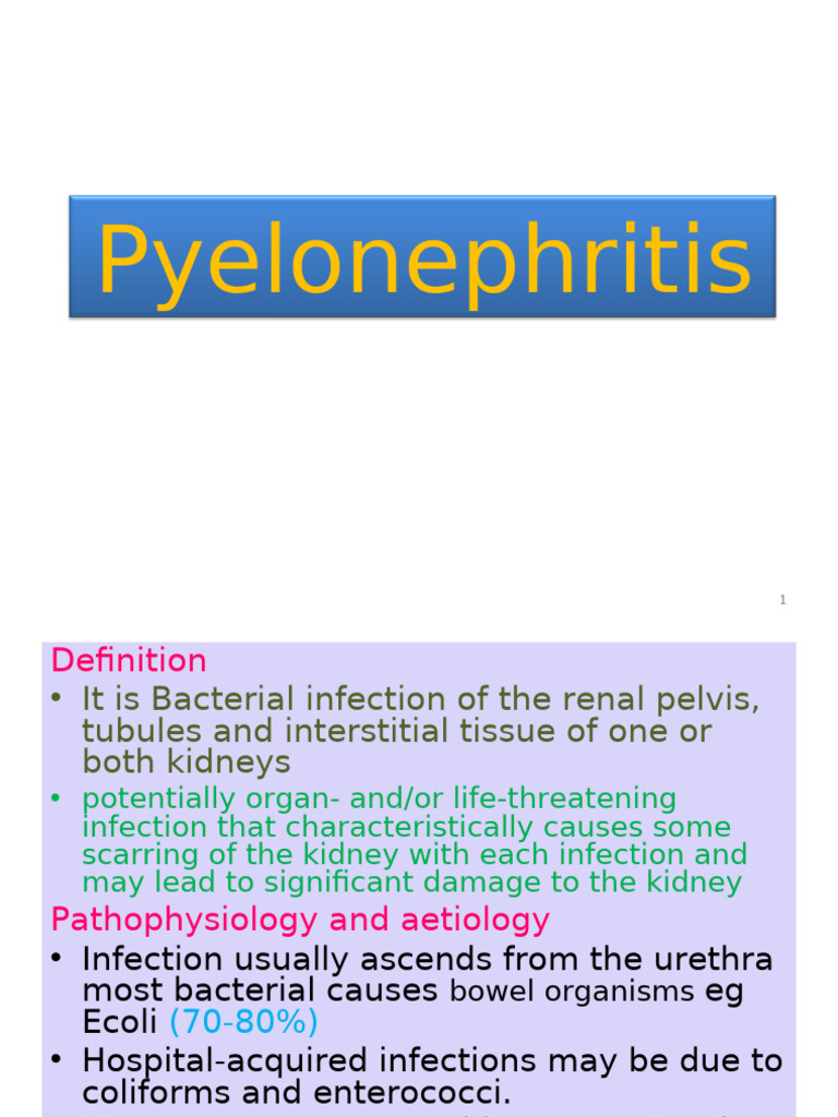03 Acute Pyelonephritis | PDF | Urinary Tract Infection | Urology
