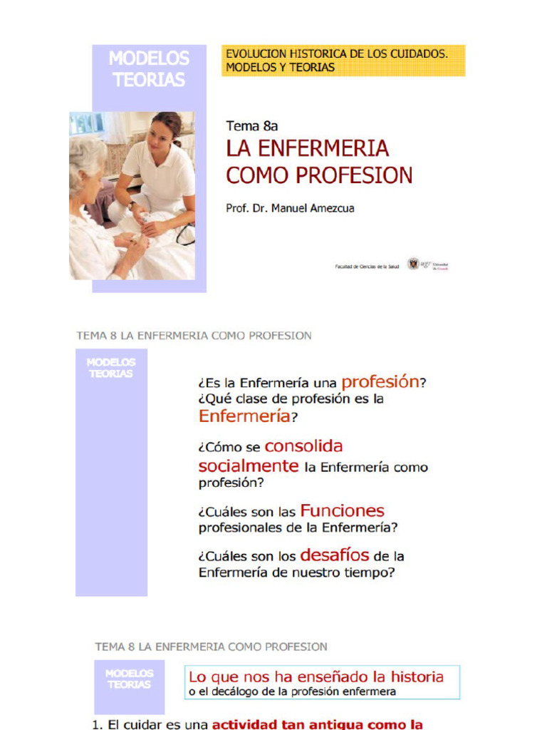 La Enfermeria Como Profesion | PDF
