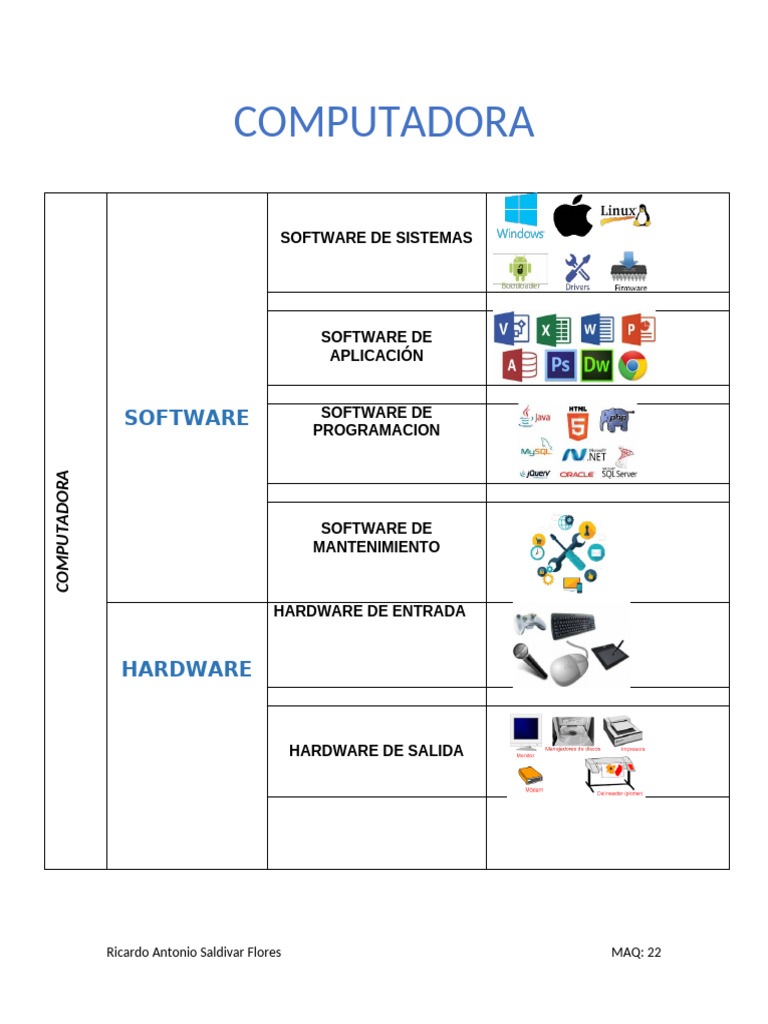 Computadora: Hardware y Software Esencial | PDF