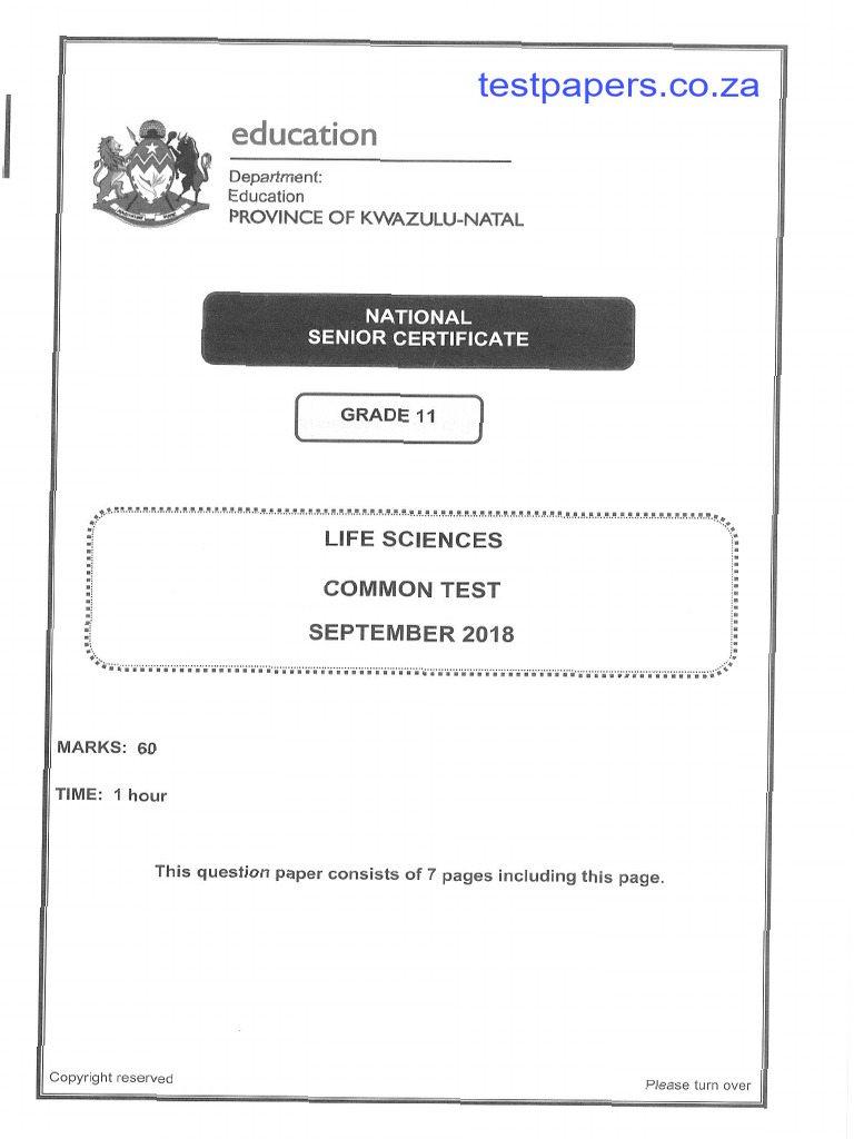 LFSC Sept QP & Memo 2018 Gr11 | PDF