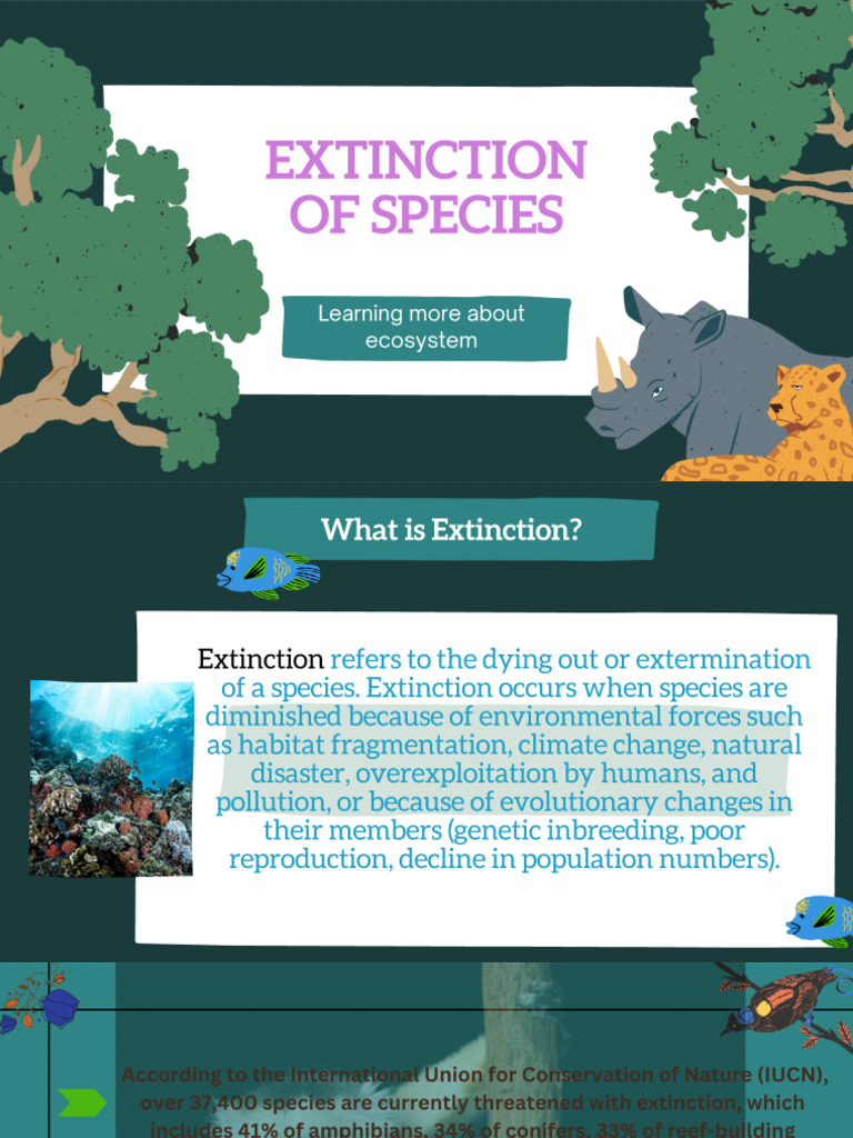 Give An Example of How Habitats Are Being Destroyed. Why Does This ...