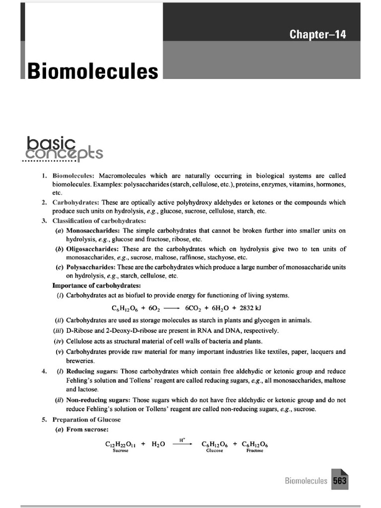 Biomolecules | PDF