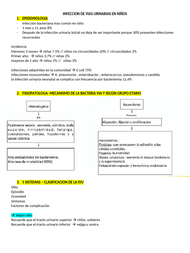 IVU en Niños | PDF | Infección del tracto urinario | Sistema urinario