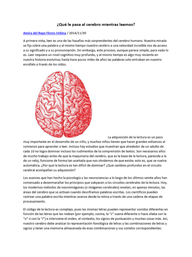 LECTURA SESIÓN 8-Qué Le Pasa Al Cerebro Mientras leemos-2016-II | PDF | Corteza cerebral | Cerebro
