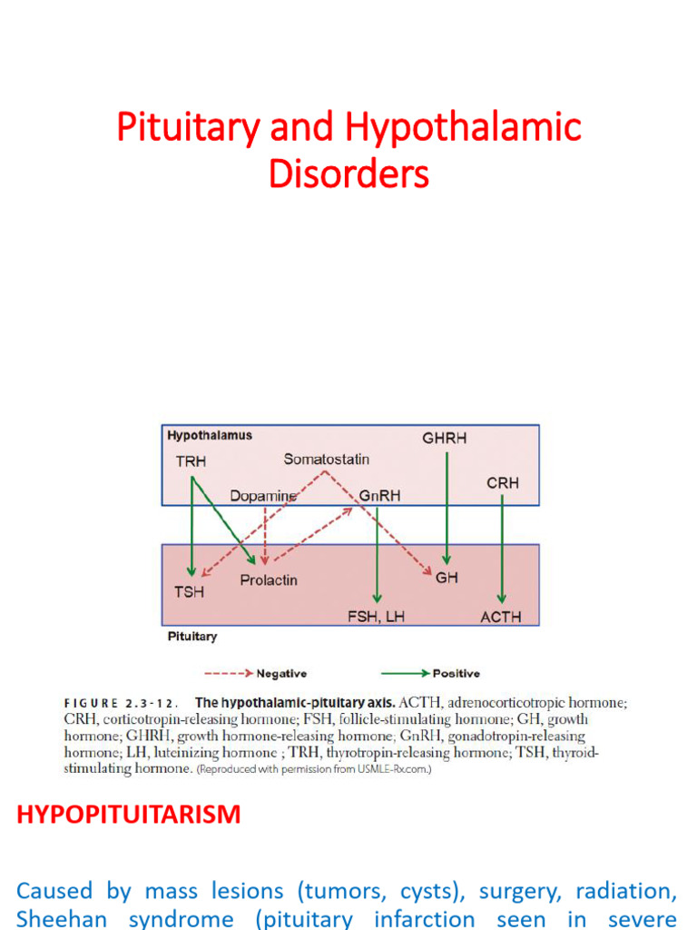 Pituitary & Hypothalamic Disorders (Hypopitutarism) | PDF