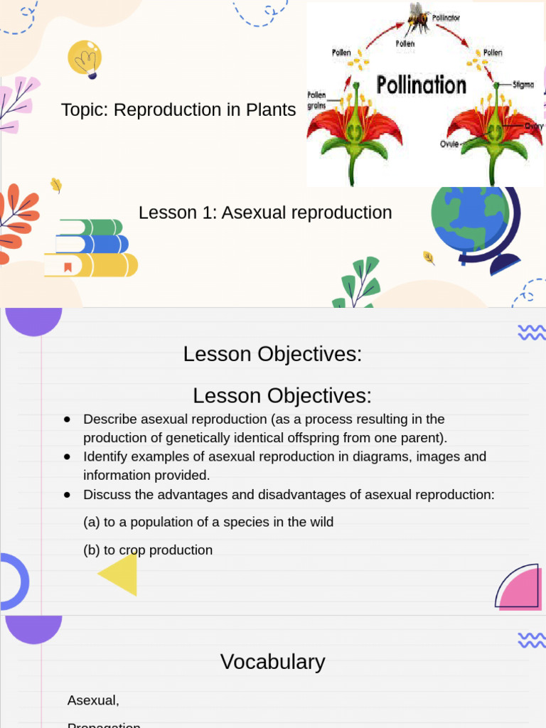 Unit 16 - Reproduction in Plants and Animals2024.25 | PDF | Menstrual ...