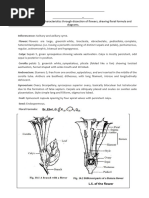 Botany Practical Examination Key 2024 | PDF | Plant Stem | Vector ...