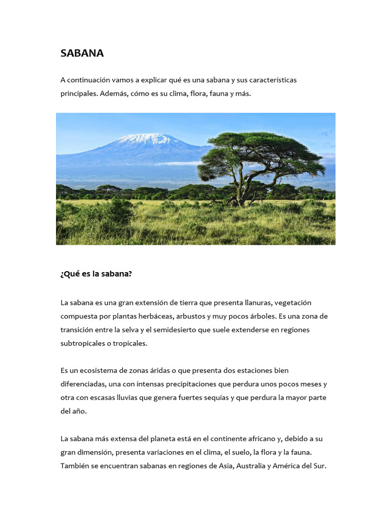 SABANA | PDF | Sabana | Clima