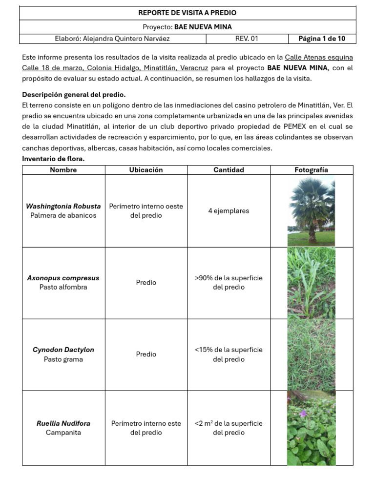 Be Nueva Mina - Reporte de Visita A Predio | PDF