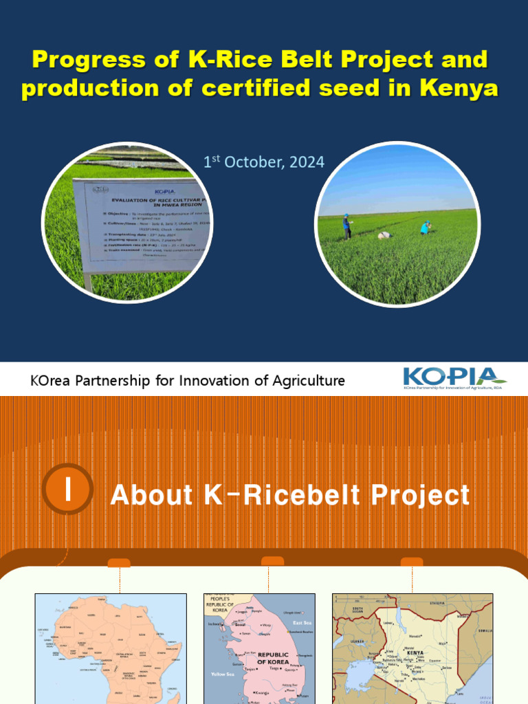 2-2. KOPIA - K-Rice Belt Project and Seed Production in Kenya (JG KIM) | PDF | Rice | Agriculture