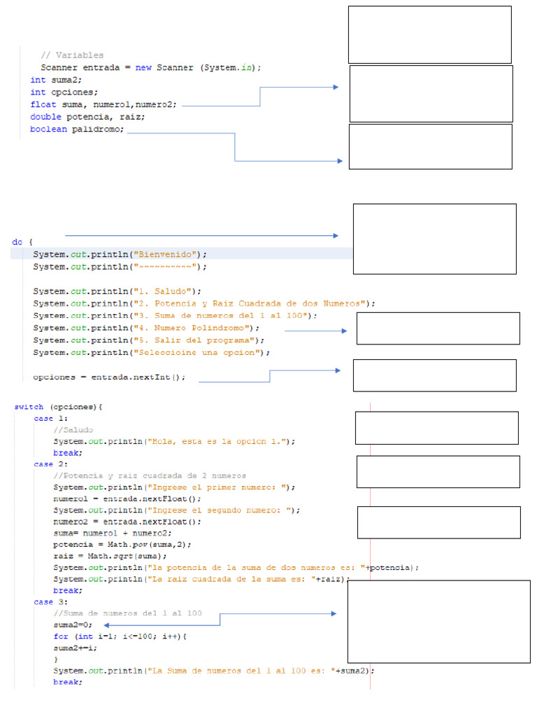 Proyecto de Programacion | PDF | Variable (informática) | Desarrollo de software
