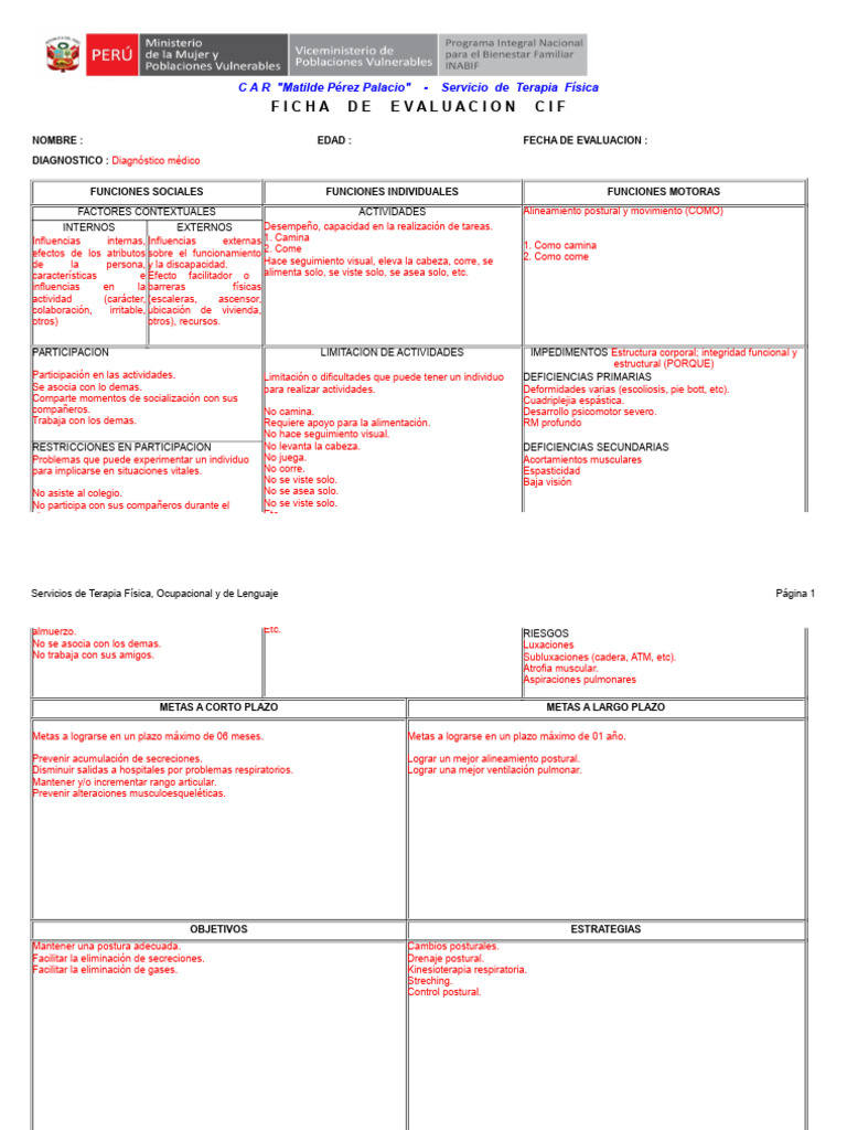 Ficha CIF Modelo | PDF | Causas de la muerte | Enfermedades y trastornos humanos