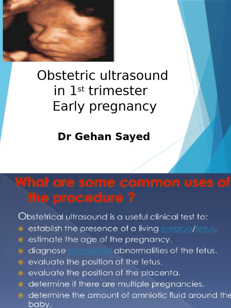 Normal Preg 1st Trimeter Fall2024 | PDF | Pregnancy | Human Chorionic Gonadotropin