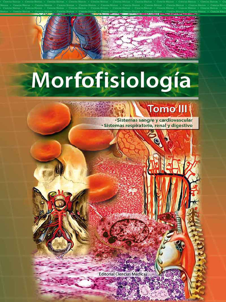 Morfo 3 Completo | PDF | Sangre | Lipoproteína