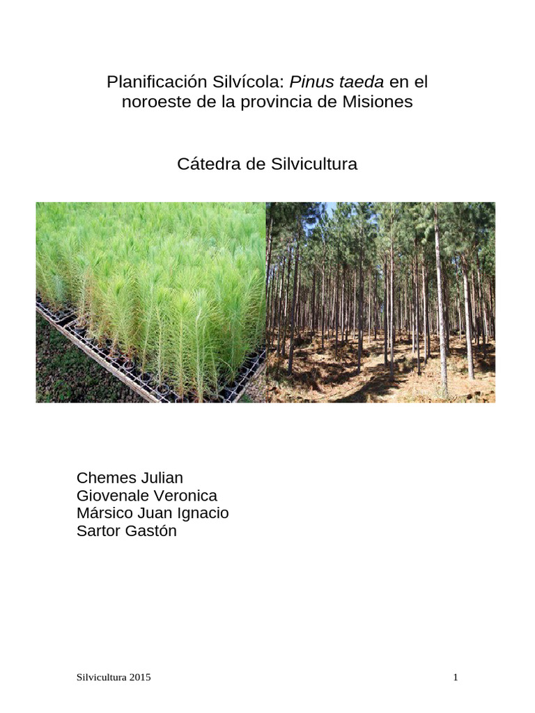 Planificacion - Silvicola P. Taeda Misiones 2015 | PDF | Los bosques ...