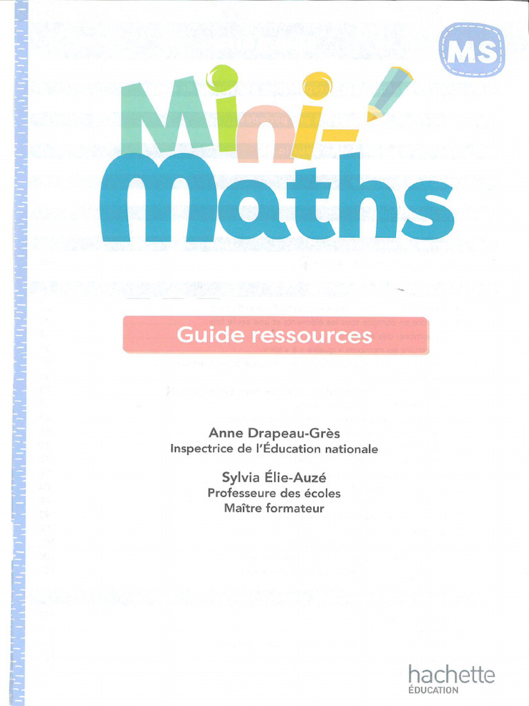 MS Mini Maths Guide | PDF