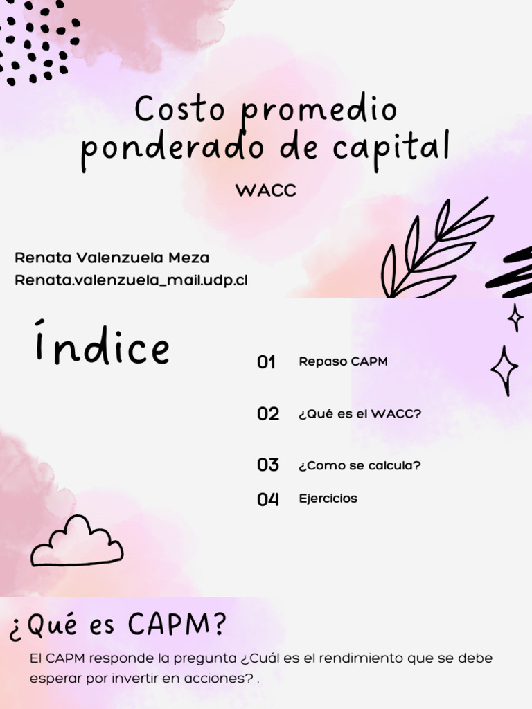 Guía Completa sobre WACC y CAPM | PDF