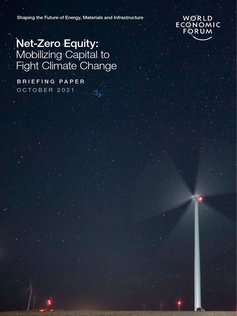 Net-Zero Equity: Capital for Climate Action | PDF | World Economic ...