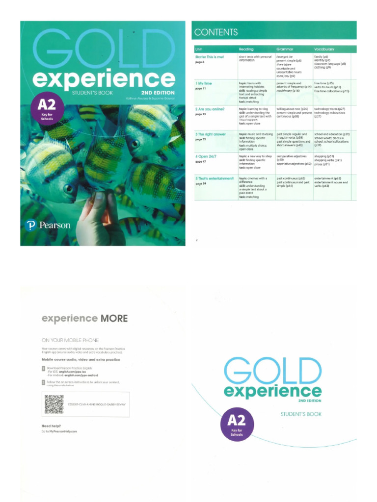 GOLD Expe Rience A2 - CHAP1 | PDF