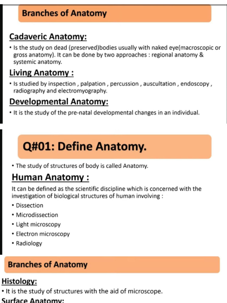 Anatomy and Its Branches LEC1 | PDF